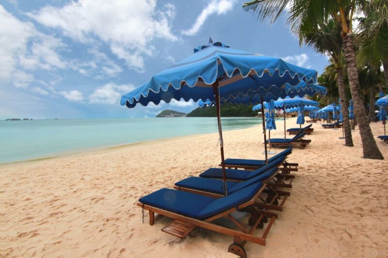 Ho Coc Beach, Nature Reserve & Dragon Fruit Farm Day Tour - What Travelers Say