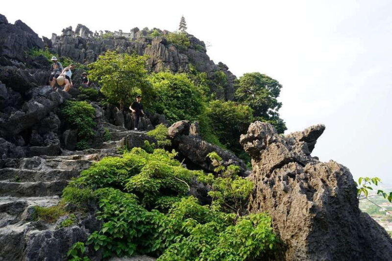 HOA LU - BAI DINH  TRANG AN  MUA CAVE FROM NINH BINH - Who Is This Tour Best For?