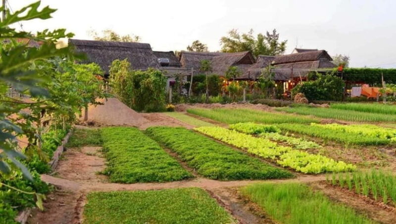 Hoi An: Basket Boat and Farming and Cooking Class in Tra Que - Authenticity and Value