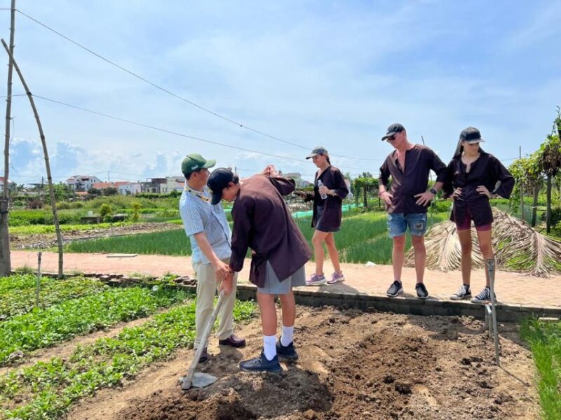 Hoi An: Countryside- Basket Boat & Cooking Class in Tra Que - Why We Think This Tour Offers Great Value