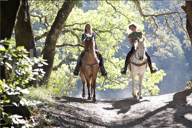 Horse riding excursion - Practical Details