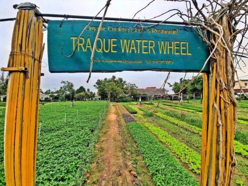 Hue Imperial City Tour from Da Nang/Hoi An via Hai Van Pass - Final Thoughts