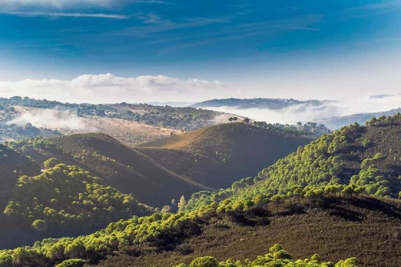Iberian Ham Route and Cate in the Sierra de Aracena - FAQs about the Iberian Ham Route and Cate Tour