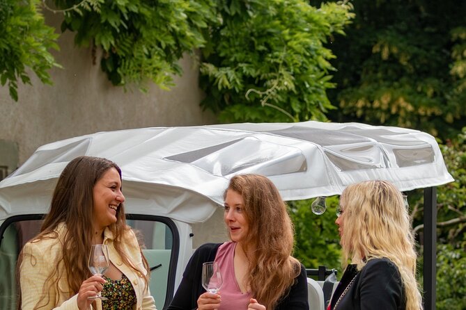 Immersion in the Geneva vineyards by tuktuk with tasting - FAQs