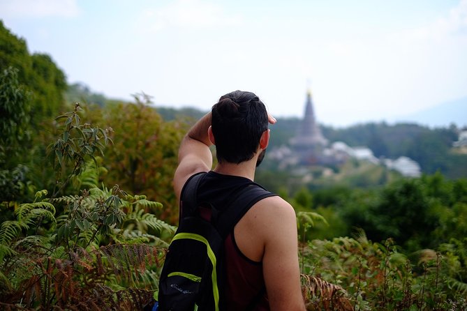 Inthanon Small-Group with Kew Mae Pan Trail from Chiang Mai include Lunch - Final Thoughts