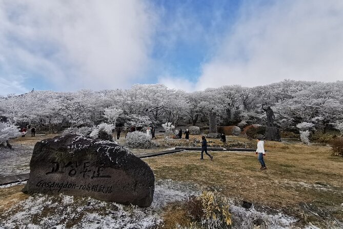 Jeju island Private Tour - UNESCO Day Tour & Haenyeo Performance - Pricing & Overall Value