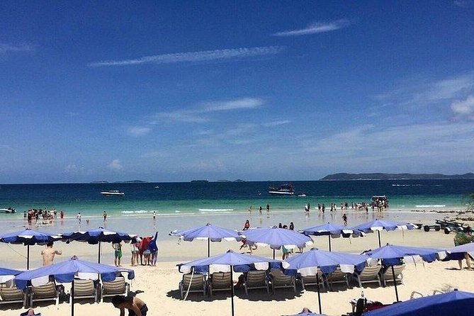 Join Half Day Coral Island with Indian Lunch - Final Thoughts: Is It Worth It?