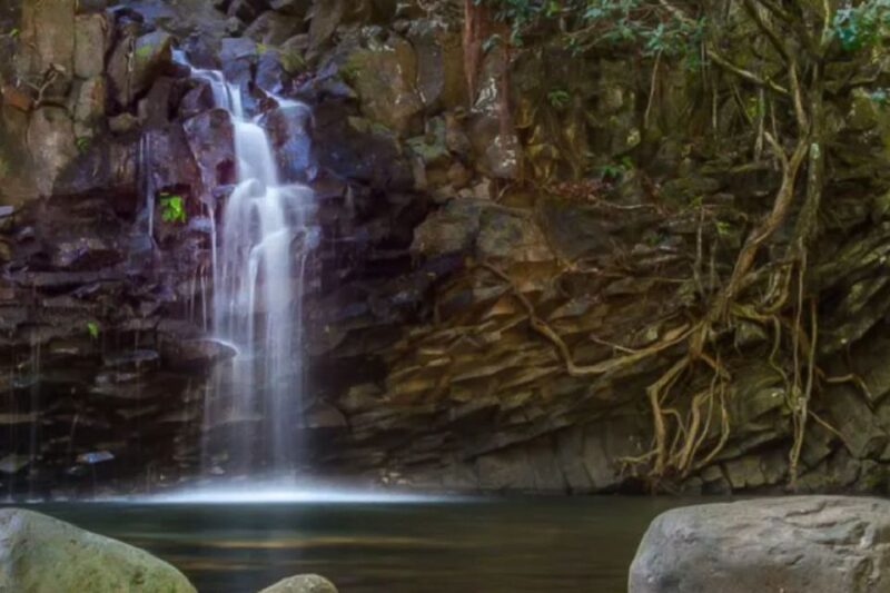 Kahului: Guided Rainforest and Waterfall Walk - FAQ