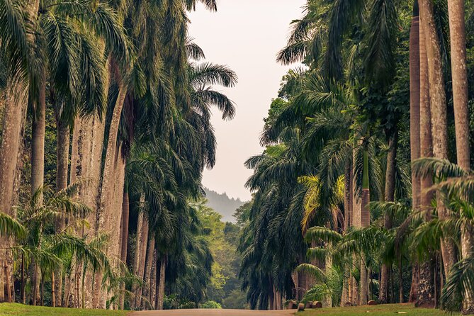 Kandy City Tour from Colombo - Who Should Consider This Tour?