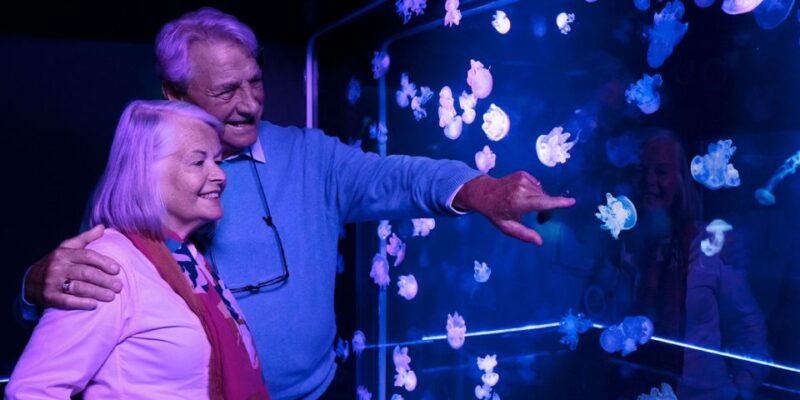 Kansas City: SEA LIFE Kansas City Aquarium General Admission - Who Will Love This?