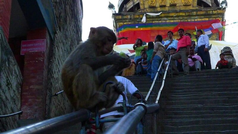 Kathmandu City Walking Tour - FAQs