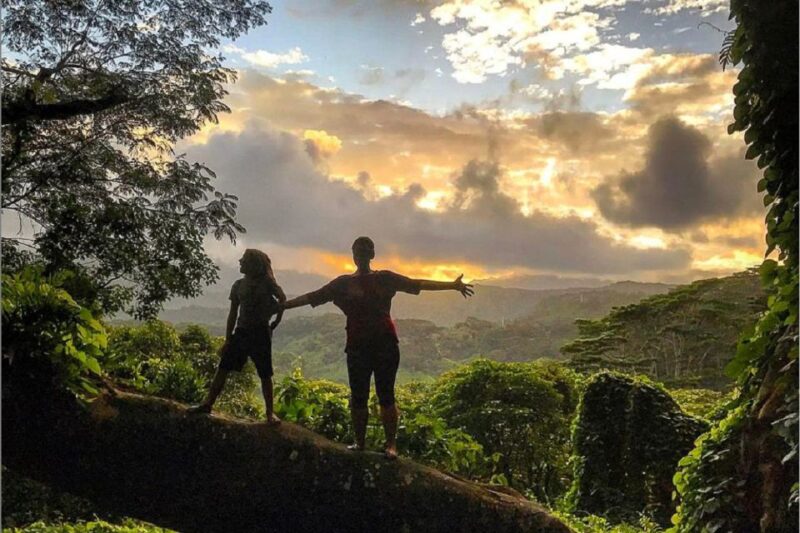 Kauai: Half-Day Kauai Adventure - Analyzing the Value and Who Benefits Most