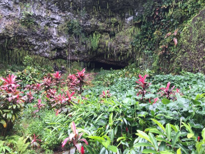 Kauai Northeast Tour, Fern Grotto River Cruise & Lighthouse - Final Thoughts: Is This Tour Worth Your Time?