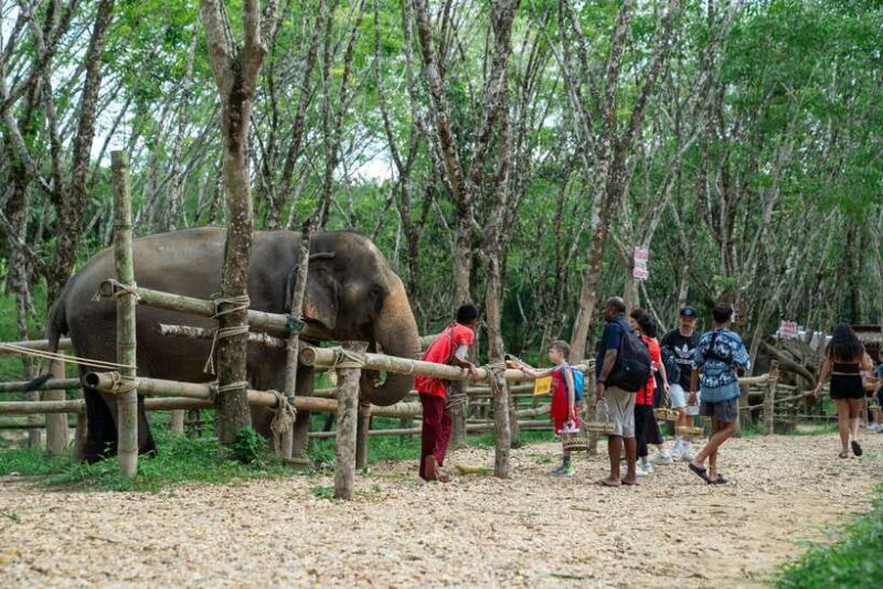 Khao Lak Multi-Adventure: Bamboo Rafting, ATV & Elephants - Authentic Traveler Feedback