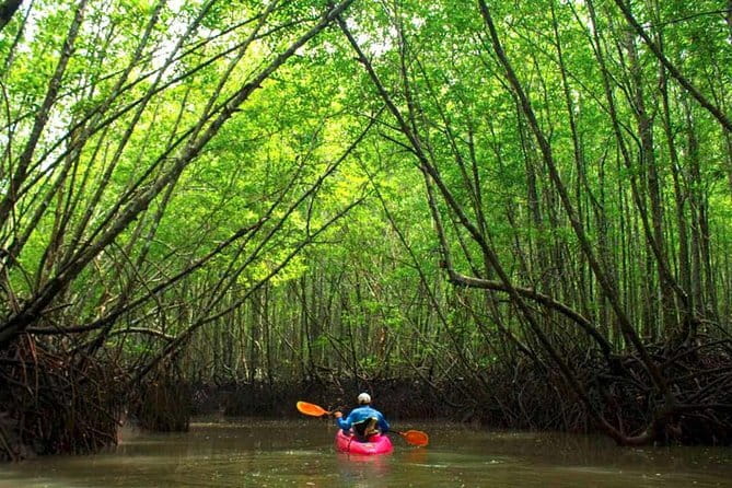 Khao Sok Cheow Lan Lake Tour from Krabi - Final Thoughts
