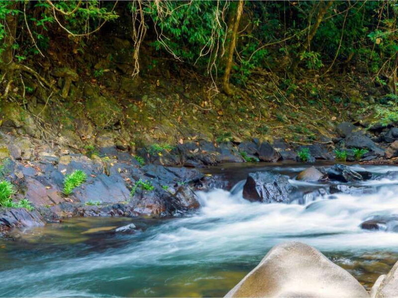 Khao Sok: Private Waterfalls and Wildlife Half-Day Trek - FAQ