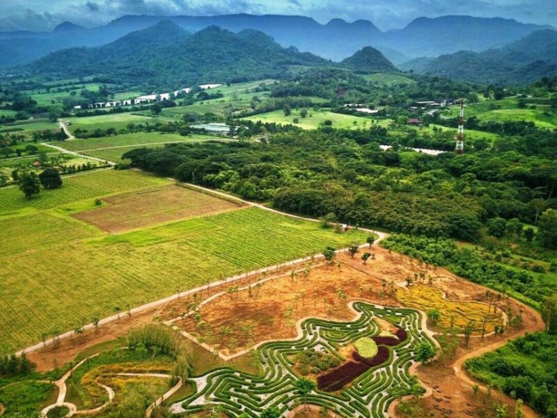 Khao Yai Vineyard Tasting Tour & Horse Farm Visit - Final Thoughts