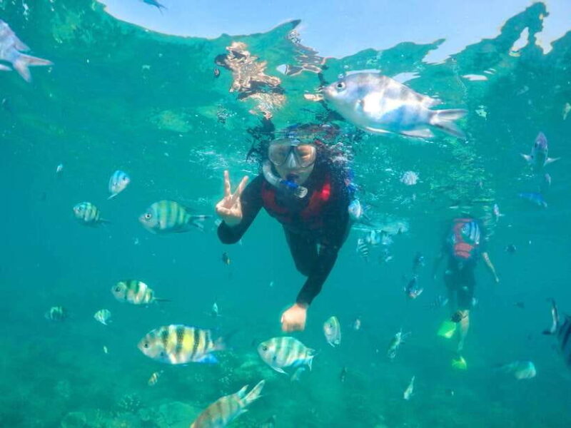 Ko Lanta: Unique 4-Island Long-Tail Snorkeling Tour w/ Lunch - Who Will Love This Experience?
