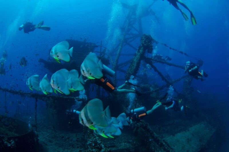 Koh Chang: 1-Day Dive Trip to Top Underwater Sites - The Experience: Atmosphere, Comfort, and Authenticity