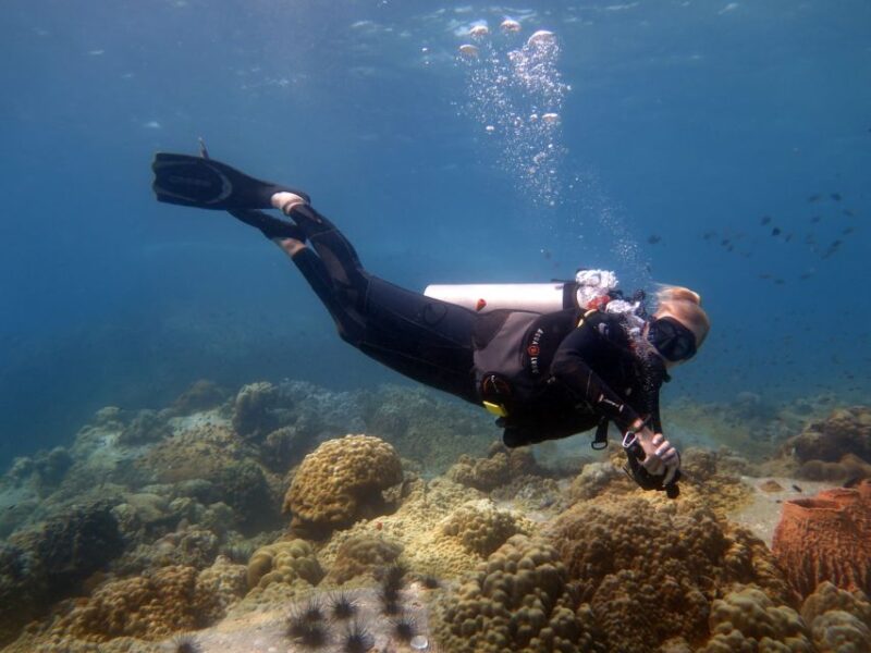 Koh Kood: 3-Day PADI Open Water SCUBA Diving Course - Practical Tips for Participants