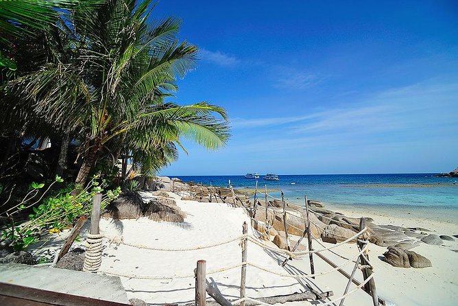 Koh Tao & Koh Nangyuan by Speed Boat (Snorkeling trip from Koh Samui) - Who Will Appreciate This Tour?
