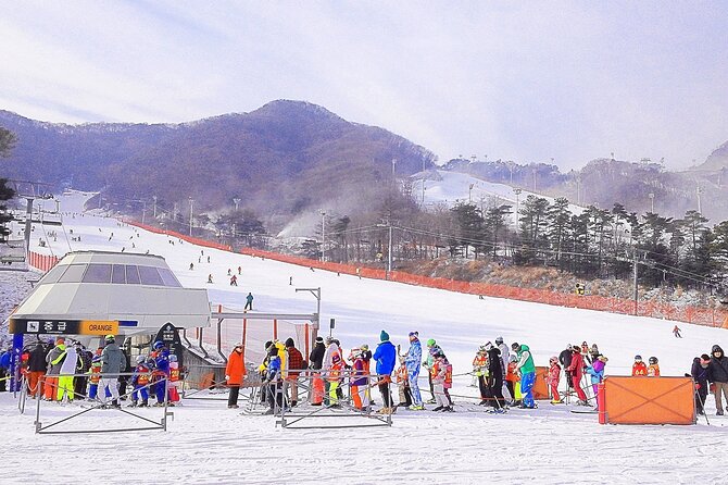 Korea Ski Tour from Seoul - Jisan Forest Resort - What We Liked Most