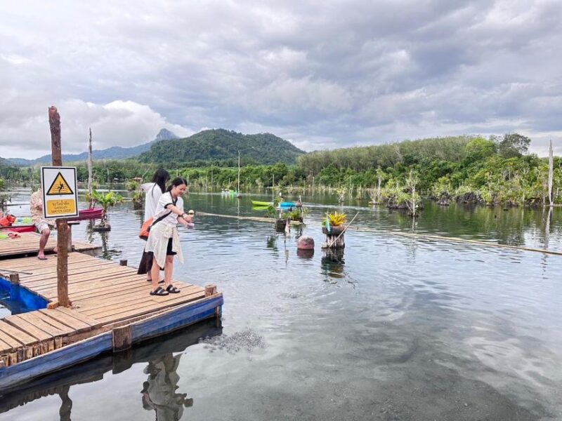 Krabi: Klong Root Kayaking Viewpoint,Fish Feeding and more - Some Less Flattering Points