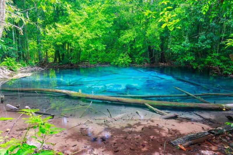 Krabi: Klongtom Hot Spring, Emerald Pool and Tiger Cave Tour - Final Thoughts