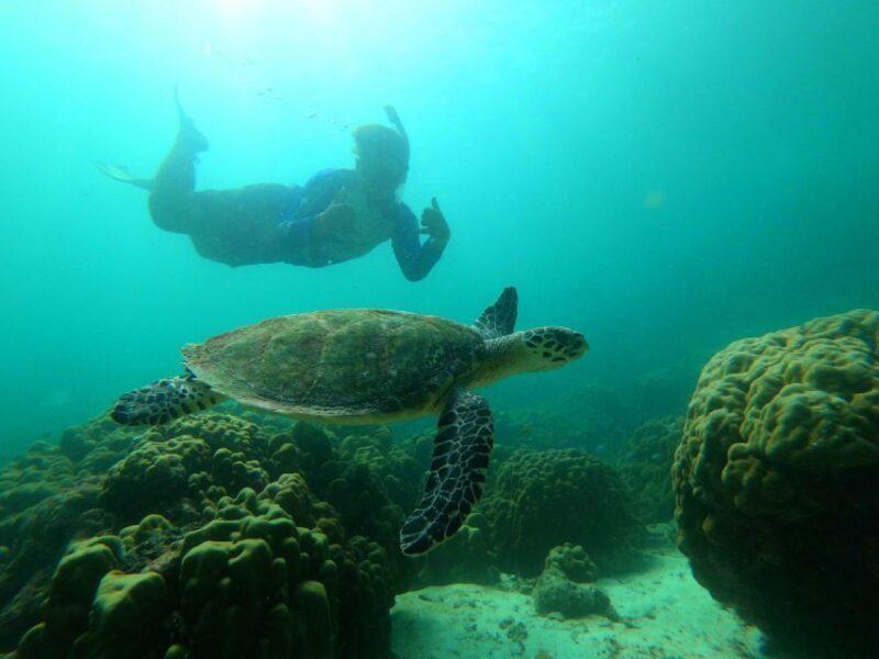 Krabi: Koh Rok & Koh Haa Hidden Snorkeling Tour by Speedboat - The Sum Up: Who Is This Tour For?