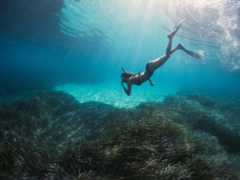 Krabi: Private 4 Islands Snorkeling Tour with Long-Tail Boat - Who Should Consider This Tour?
