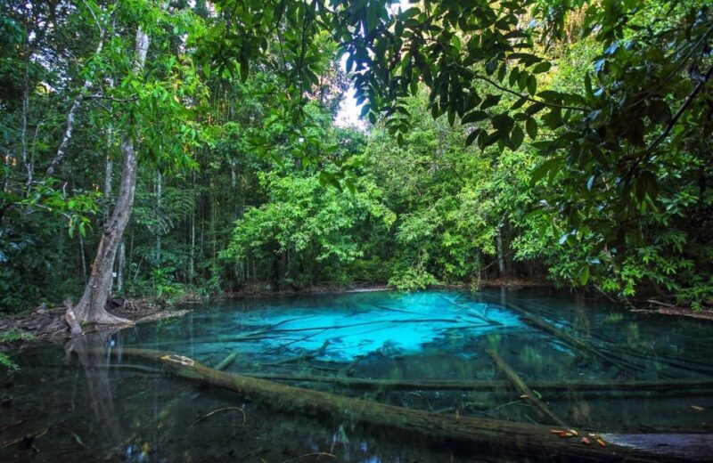 Krabi: Tiger Temple, Hot Springs & Crystal Pool Jungle Tour - Final Thoughts: Who Will Love This Tour?