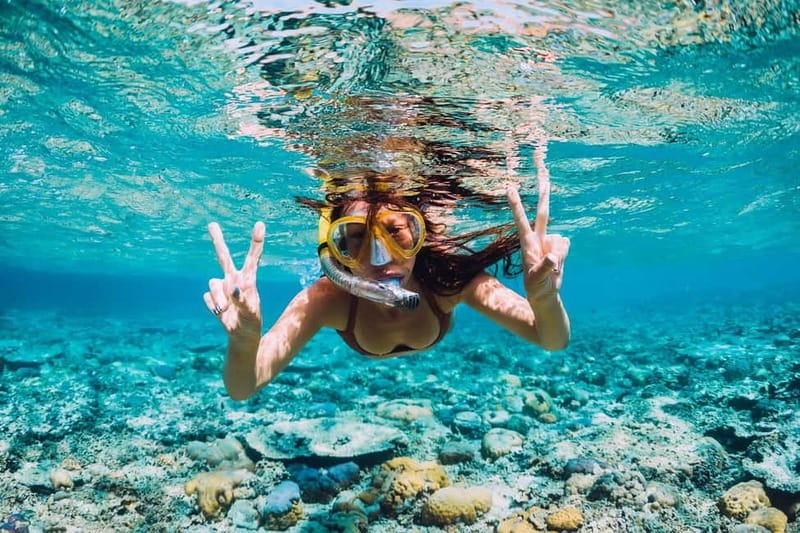 La Ciotat: Boat Tour to Cove of Var / Embiez and swimming - The Guide and Atmosphere