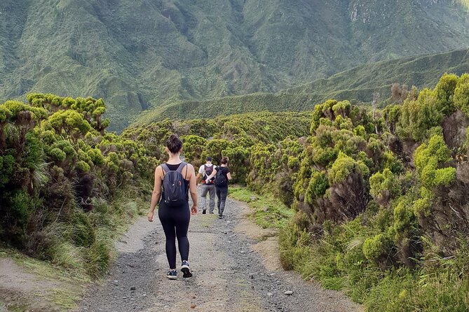 Lagoa do Fogo: Private Scenic Walking Tour - Practical Details and Tips