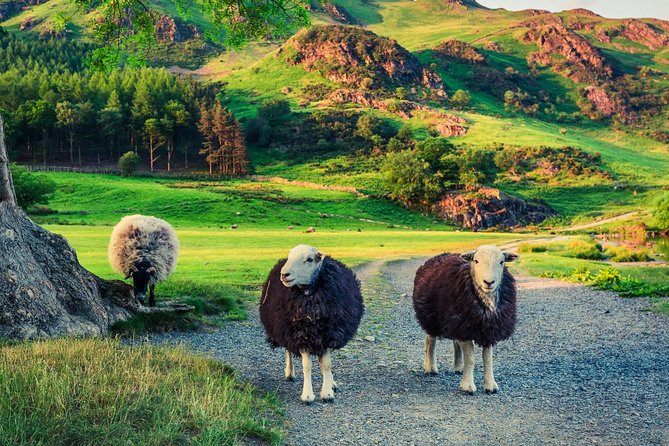 Langdale Valley - Half Day - Up to 4 People - How the Tour Compares to Other Options