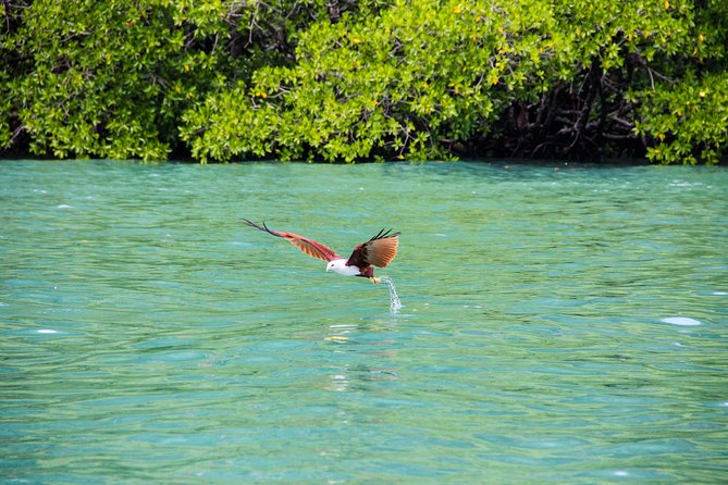 Langkawi Half Day Island Hoping Tour- Sharing basis - The Practical Side: What You Need to Know