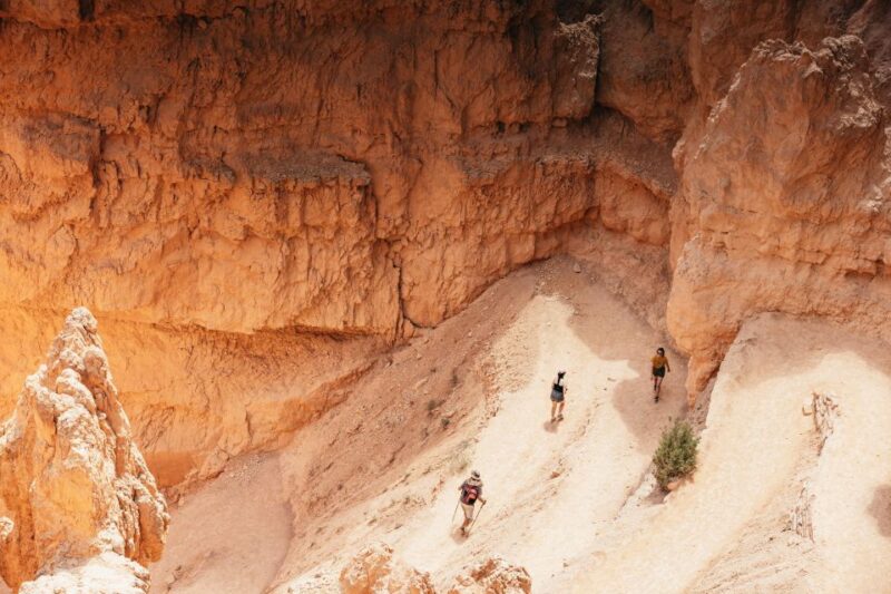 Las Vegas: Bryce and Zion National Parks Tour with Lunch - Practical Details and Tips