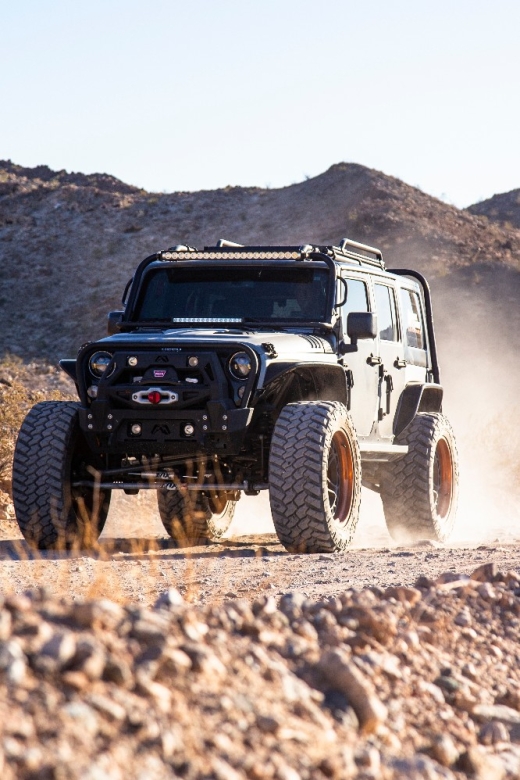 Las Vegas- Offroad Experience Wildlife, Ghost Towns and more - Authentic Experiences and Traveler Feedback
