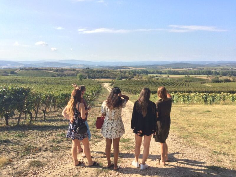 Lastours, Vinyard, Minerve, Canal du Midi from Carcassonne - FAQs