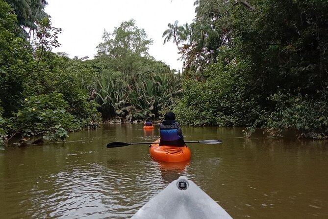 Lebam River Kayaking Adventure - Who Will Enjoy This Tour?