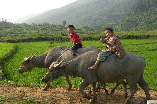 Luxury Mai Chau Day Tour from Hanoi - Analyzing the Value
