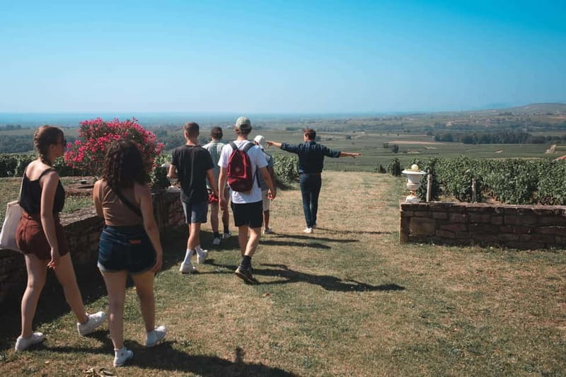 Lyon: Private Half Day Beaujolais Wine Tour by Defender - The Sum Up