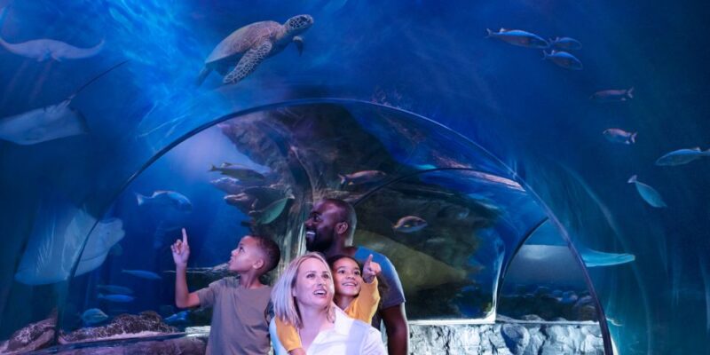 Mall of America: Sea Life Minnesota Aquarium Entry Ticket - The Authentic Experience: What Visitors Say