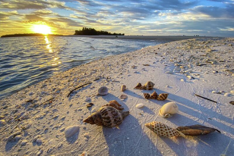 Marco Island: 2 Private Hour Sunset Boat Tour - The Sum Up