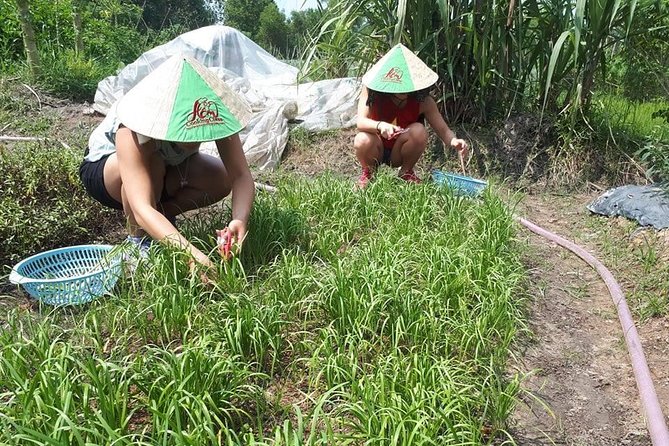 Market to Farm to Table Cooking Class in saigon - FAQ