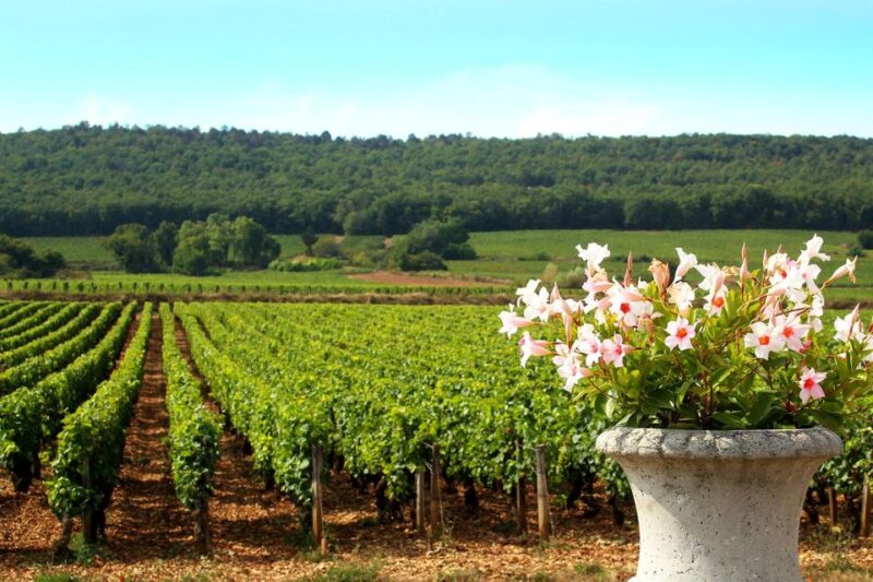 Marne: 2-Day Champagne Tour with Tastings and Lunches - FAQ