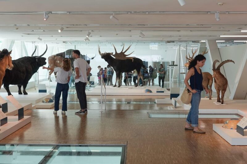 Marseille: Cosquer Cave Ticket & Panier District Audio Tour - The Sum Up: Who Will Appreciate This Experience?