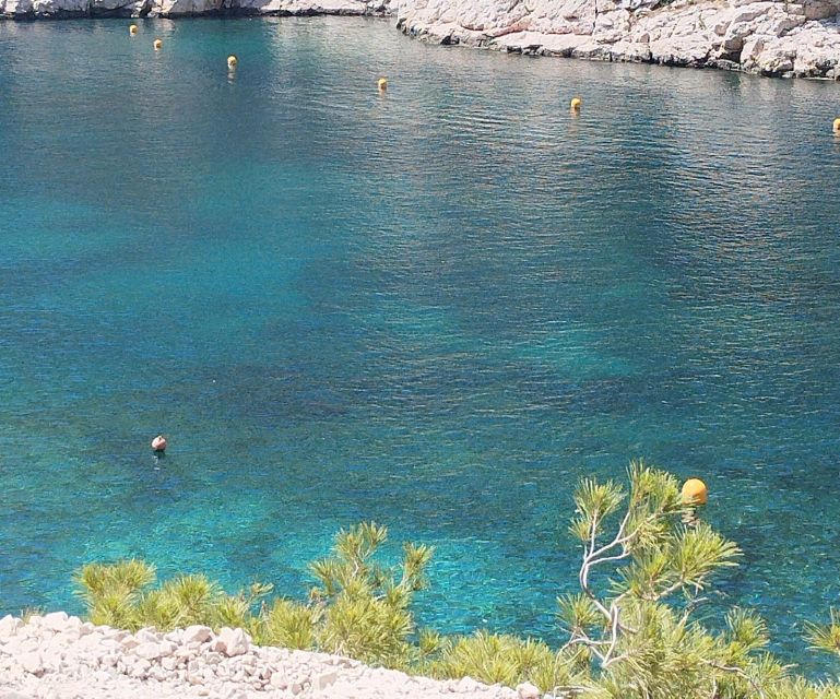 Marseille: Guided Hiking Calanques National Park from Luminy - The Guide: Bruno, the Local Expert