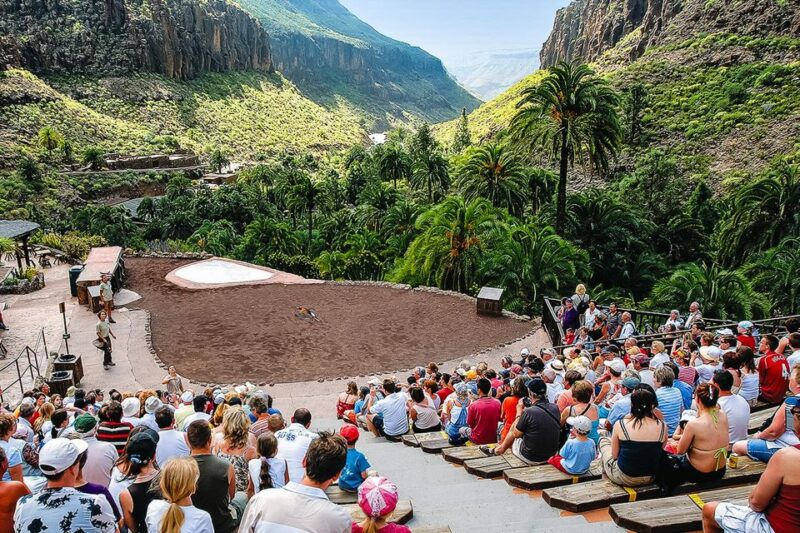 Maspalomas: Palmitos Park Ticket with Dolphin and Bird Shows - FAQ