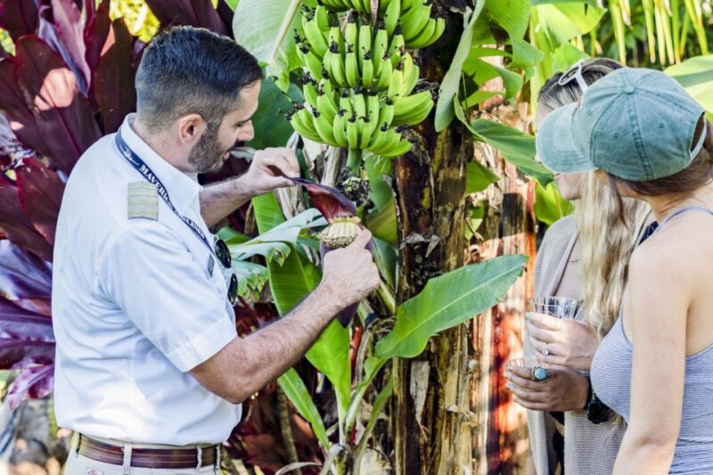 Maui: Road to Hana Helicopter & Waterfall Tour with Landing - The Real-World Experience: Pros and Cons