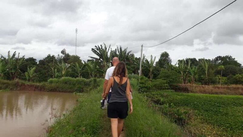 Mekong Day Tour by Car:Cai Be market, Local Island & Cycling - Who Will Love This Tour?